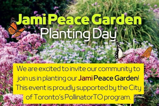 Jami Peace Garden: A new green space blooms in West Toronto